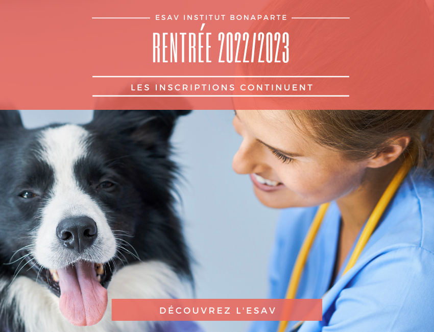 Accueil - ESAV Institut Bonaparte