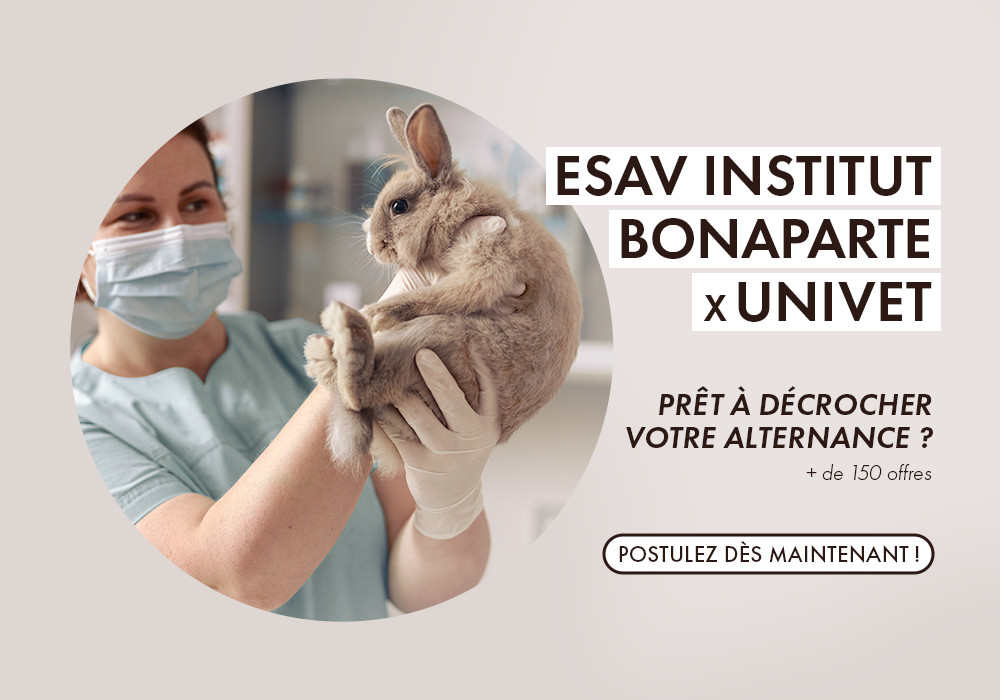 ESAV Institut Bonaparte, l'école qui forme aux métiers animaliers